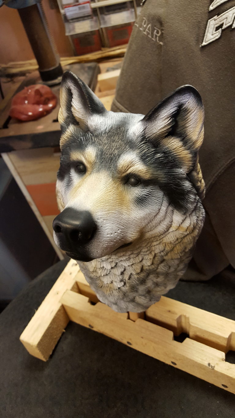 How to create a Gray Wolf sculpture | Wildlife Sculpting