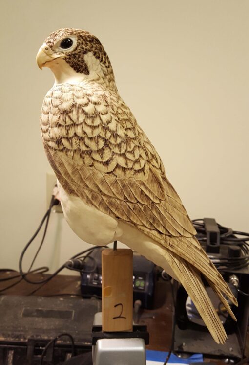 Carving a Peregrine falcon | Wildlife Sculpting