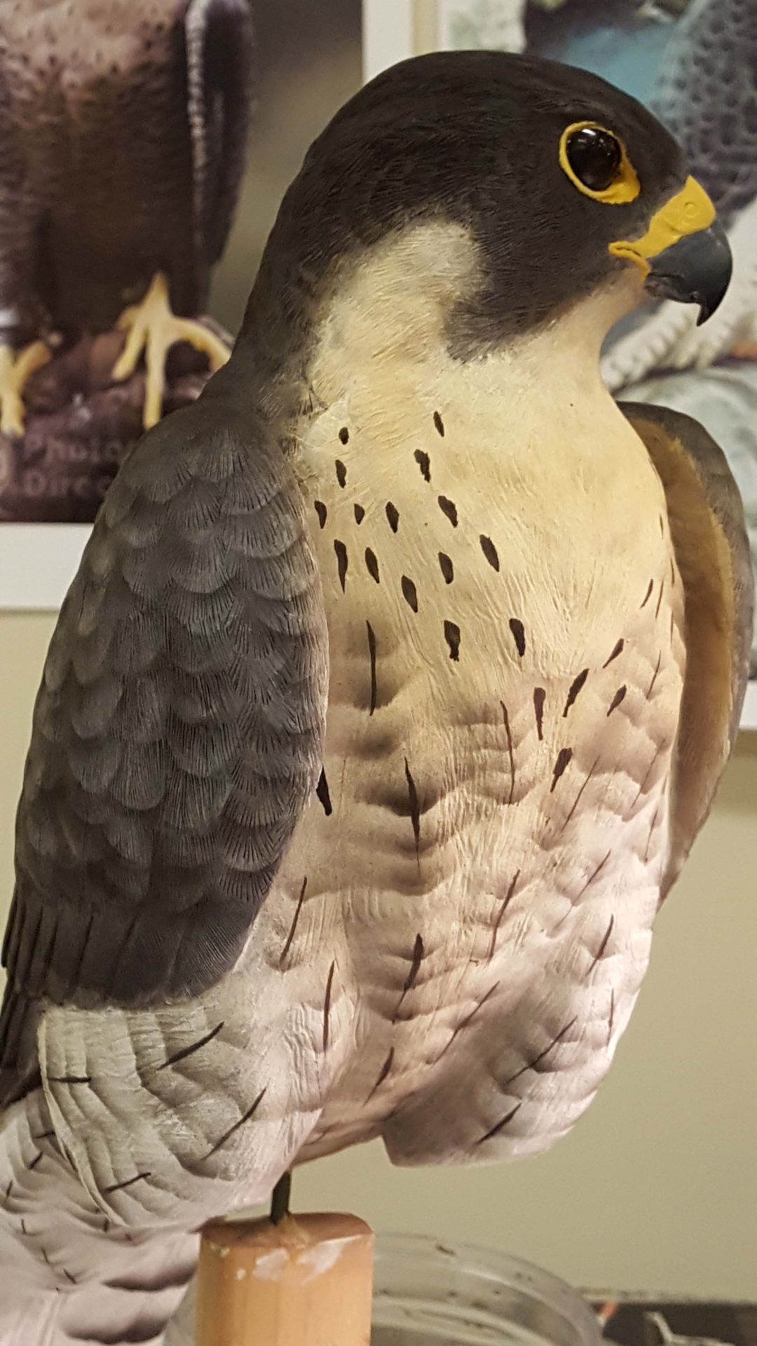 Carving a Peregrine falcon | Wildlife Sculpting