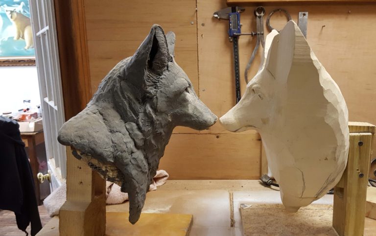 Sculpting a Red Fox Bust | Wildlife Sculpting